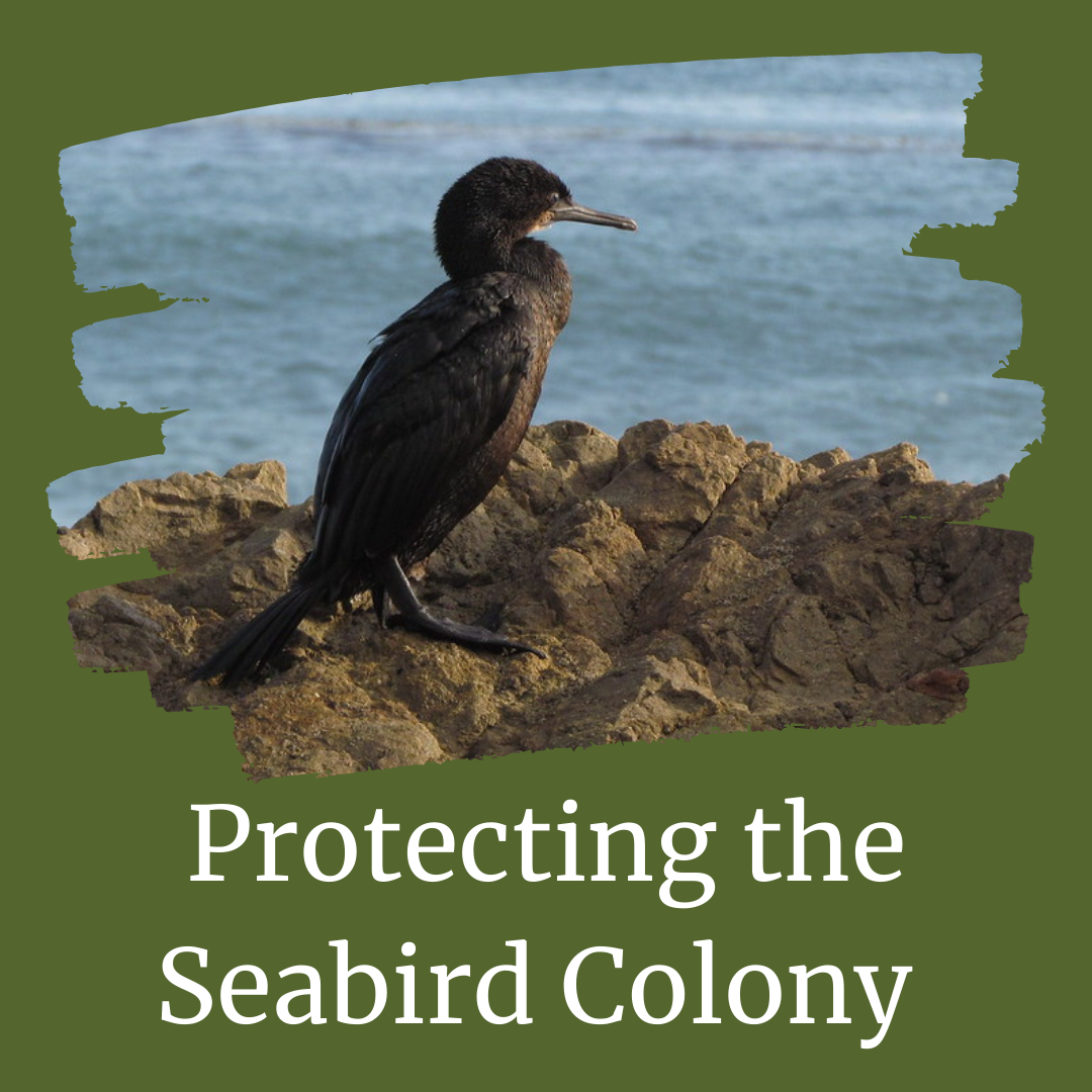 » Season of Creation