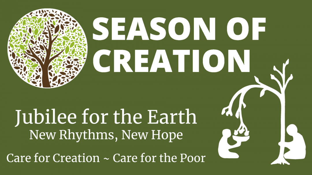 » Care for Creation/Care for the Poor